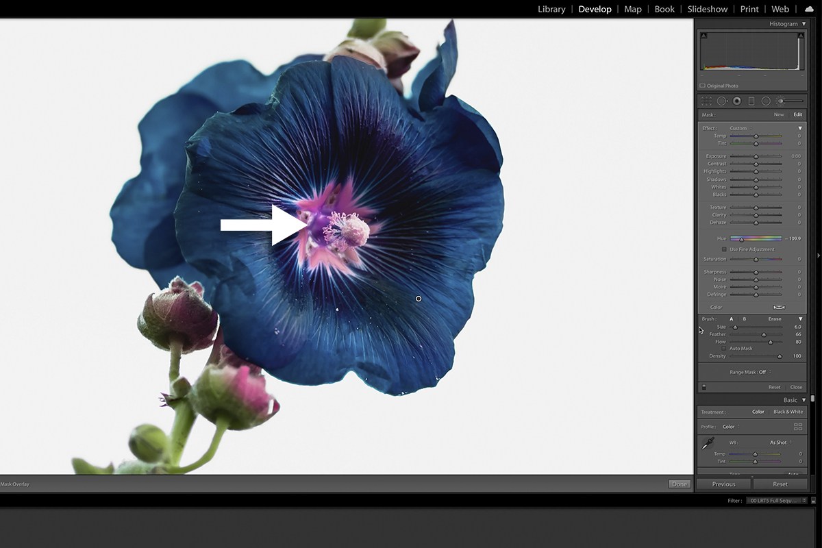 Change the Color of Anything with the NEW Hue Adjustment in Lightroom ...