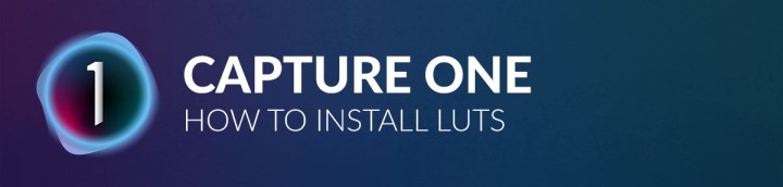 How to Apply a Color Grading LUT in 13 Different Programs