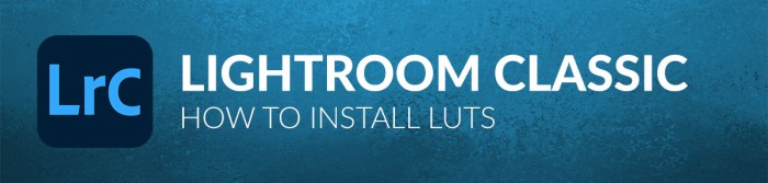 How to Apply a Color Grading LUT in 13 Different Programs