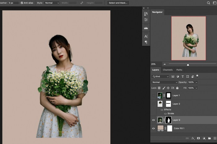 10 Tips for Using Layer Masks in Photoshop - PHLEARN