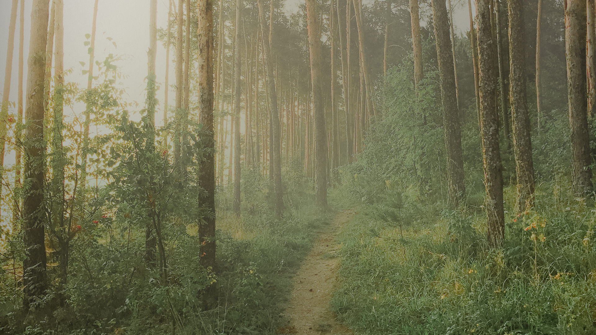 Testing the New Depth-Aware Haze in Photoshop - PHLEARN