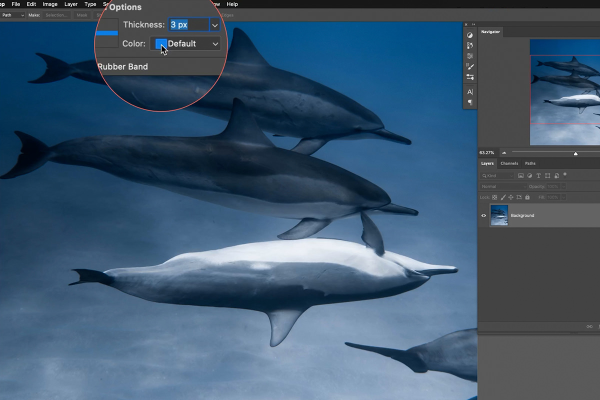 Key Shortcuts for the Pen Tool in Photoshop - PHLEARN