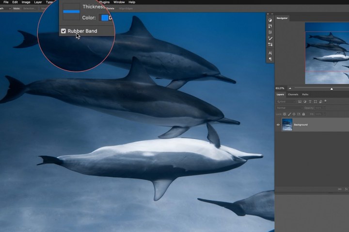 Key Shortcuts for the Pen Tool in Photoshop - PHLEARN
