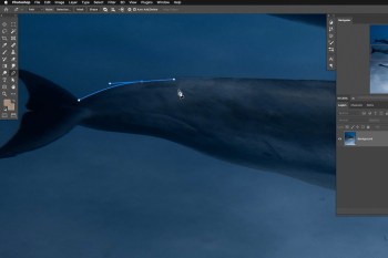 Key Shortcuts for the Pen Tool in Photoshop - PHLEARN