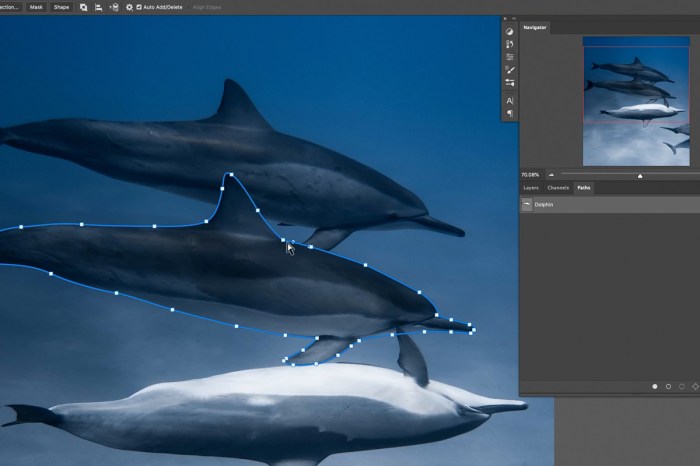 Key Shortcuts for the Pen Tool in Photoshop - PHLEARN