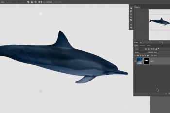 Key Shortcuts for the Pen Tool in Photoshop - PHLEARN
