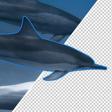 Key Shortcuts for the Pen Tool in Photoshop - PHLEARN