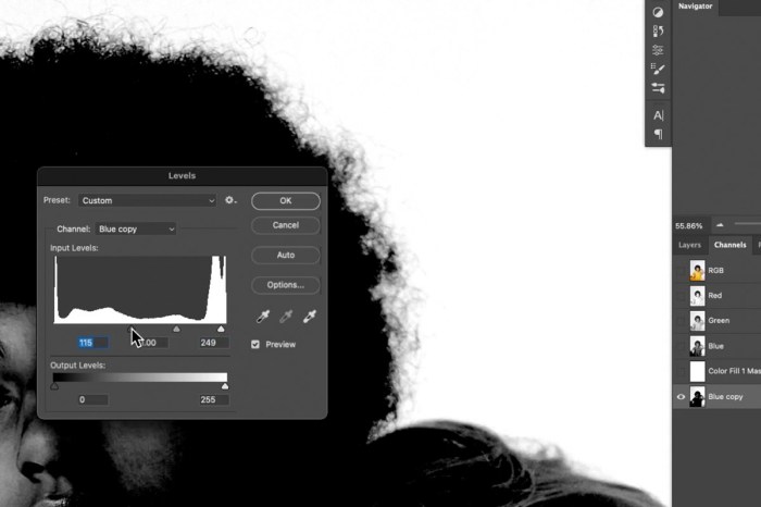 Advanced Hair Masking with Channels in Photoshop - PHLEARN