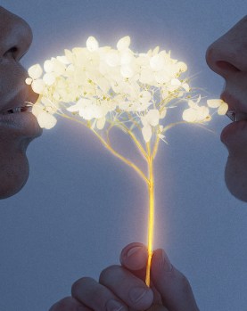 How to Create a Glow Effect in Photoshop - PHLEARN