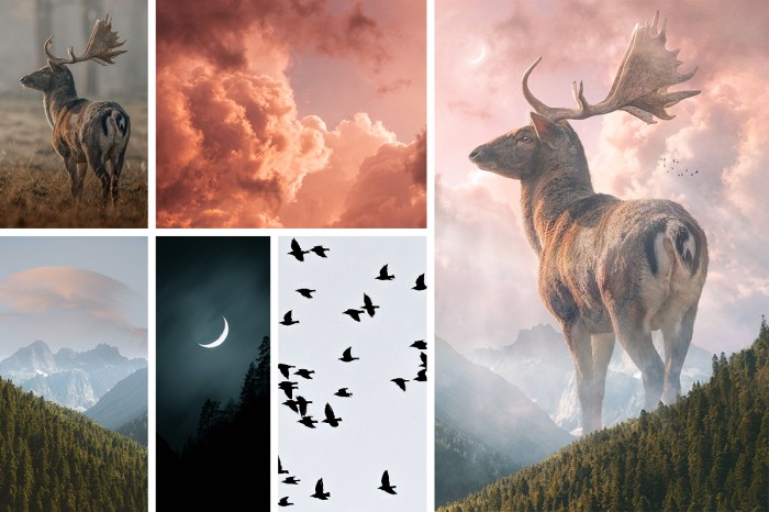 Create a Nature Composite with Free Stock Photos in Photoshop - PHLEARN