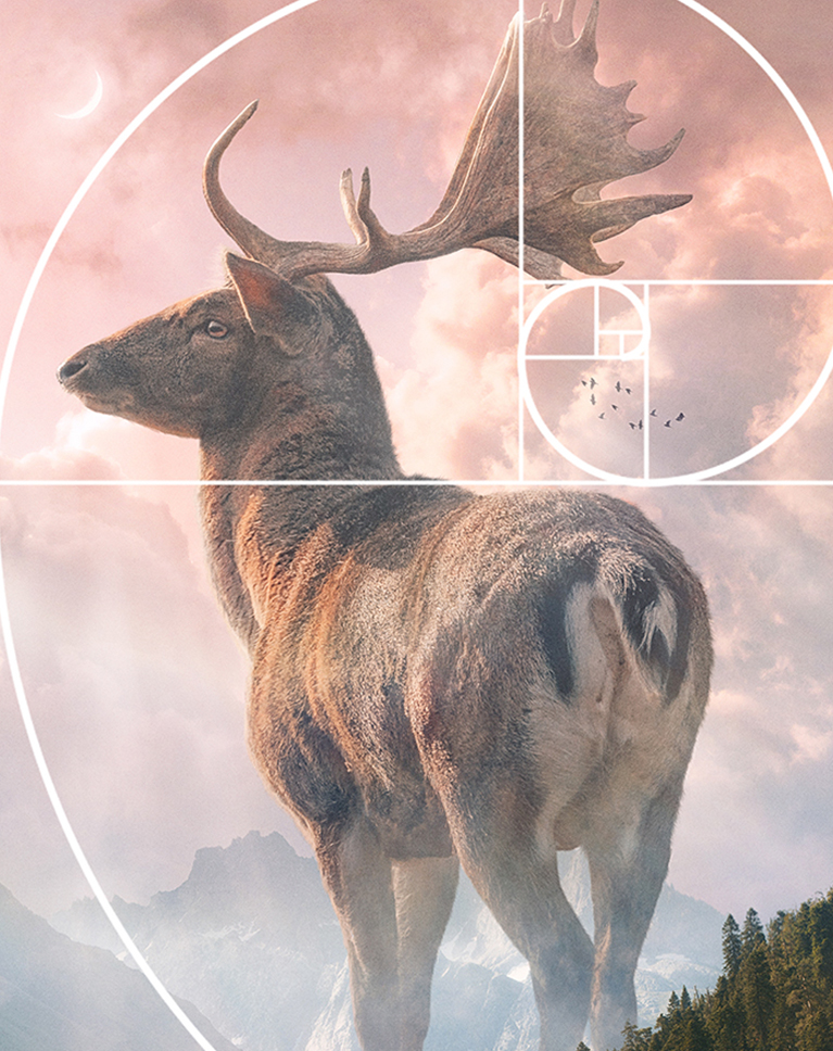 Create a Nature Composite with Free Stock Photos in Photoshop - PHLEARN