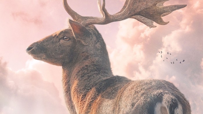 Create a Nature Composite with Free Stock Photos in Photoshop - PHLEARN