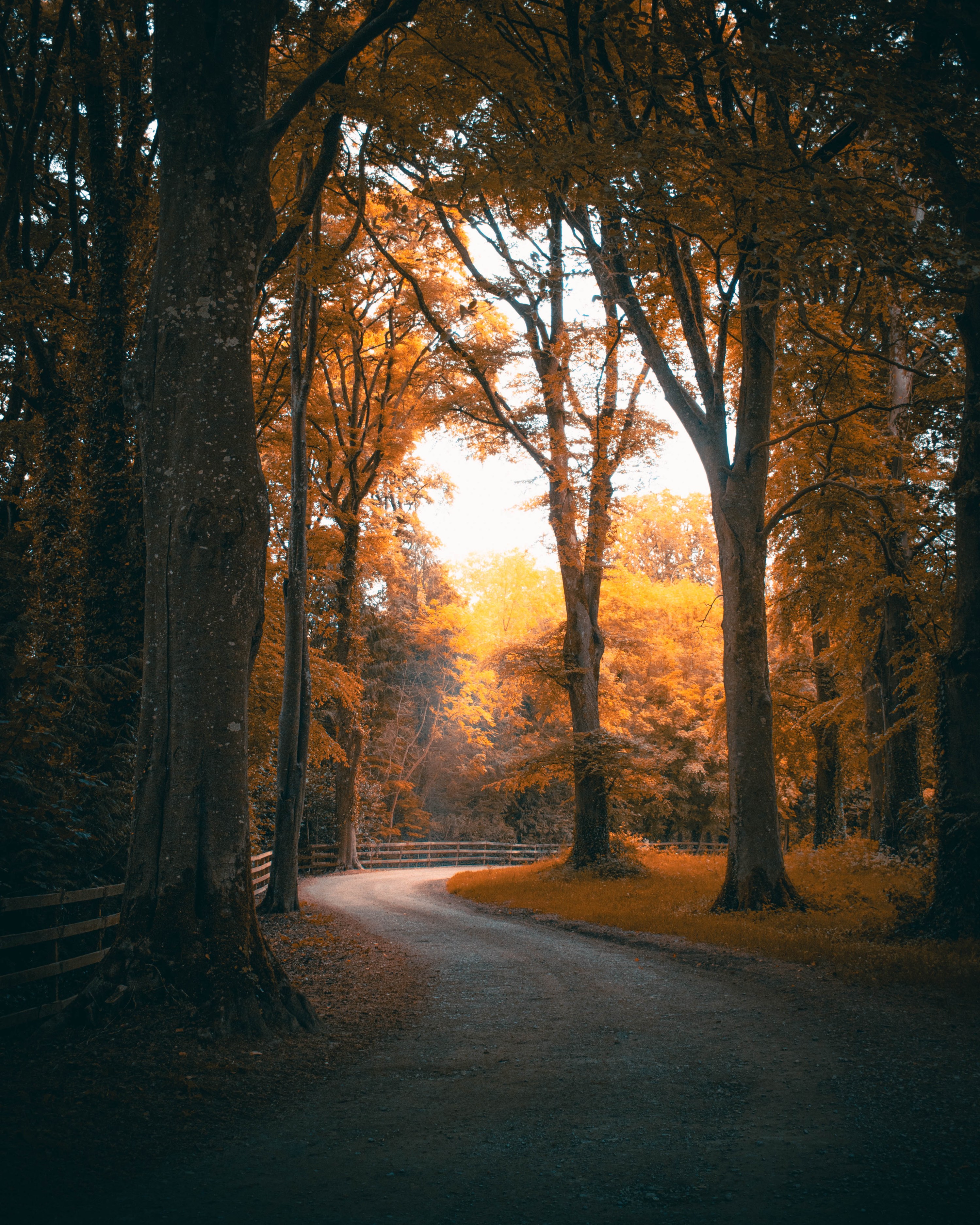 Photography for Beginners - Learn the Basics in This Online Course