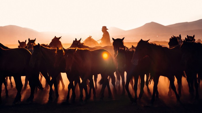 How to Create Sunset Color & Light in Lightroom Desktop - PHLEARN