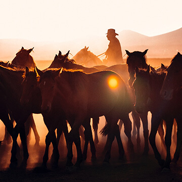 How to Create Sunset Color & Light in Lightroom Desktop - PHLEARN