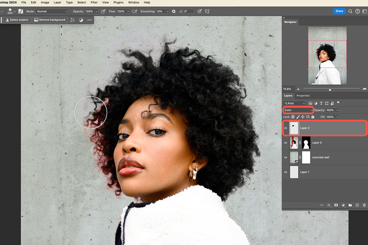 How to Select Subjects and Refine Edges in Photoshop - PHLEARN