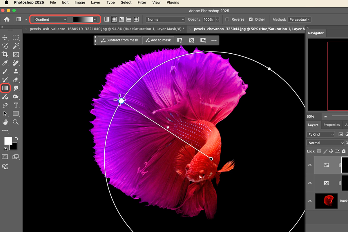 Photoshop 2025: New Adjustment Brush Tool Explained - PHLEARN