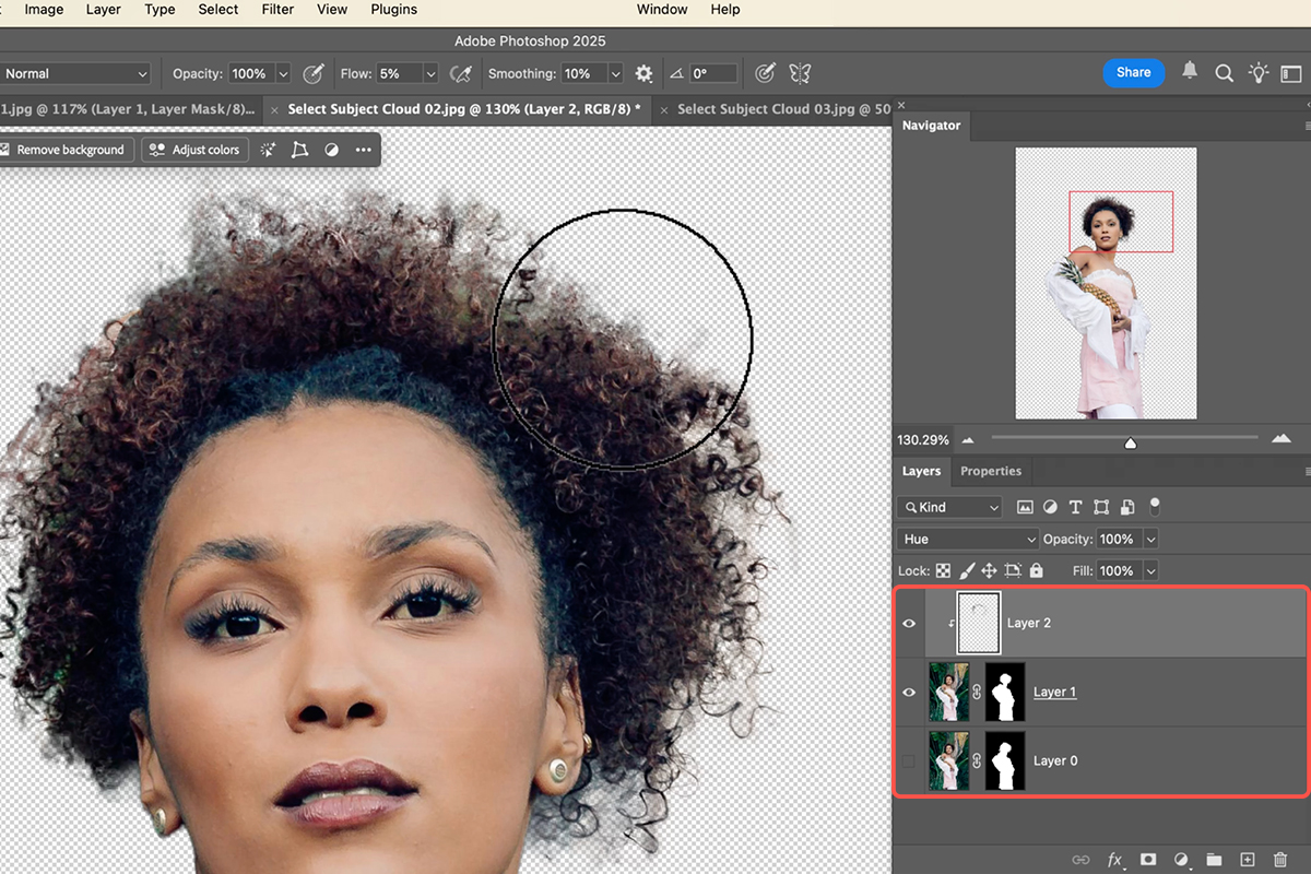 Photoshop 2025: Explore the Updated Select Subject Tool - PHLEARN