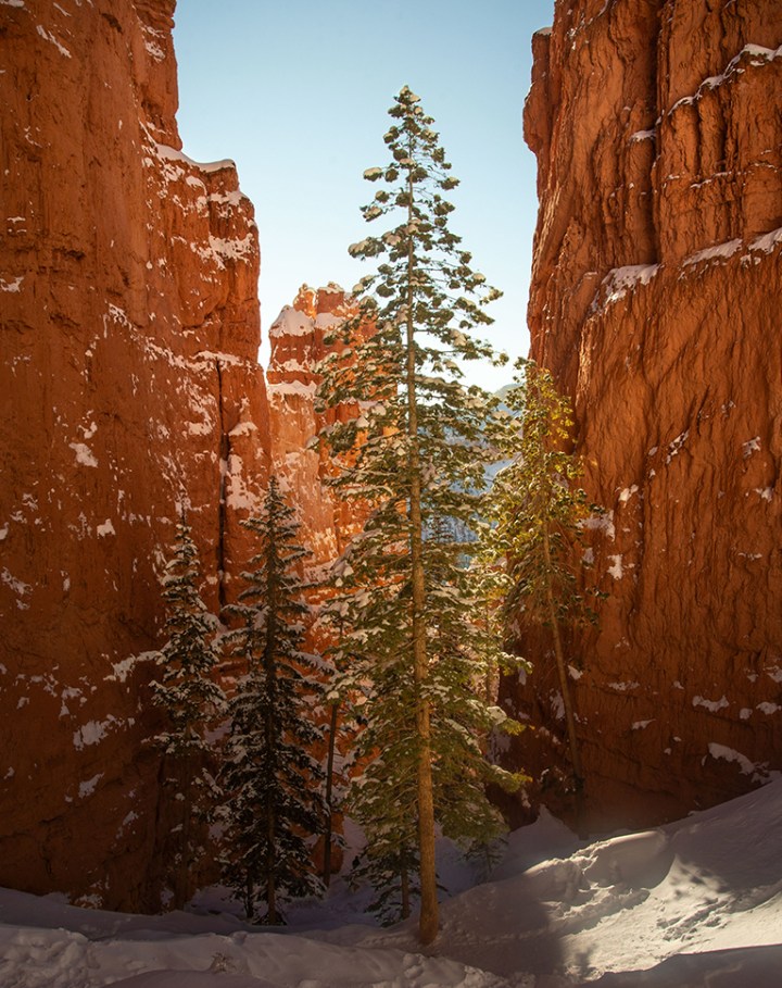 Advanced Landscape Editing in Photoshop & Adobe Camera RAW - PHLEARN
