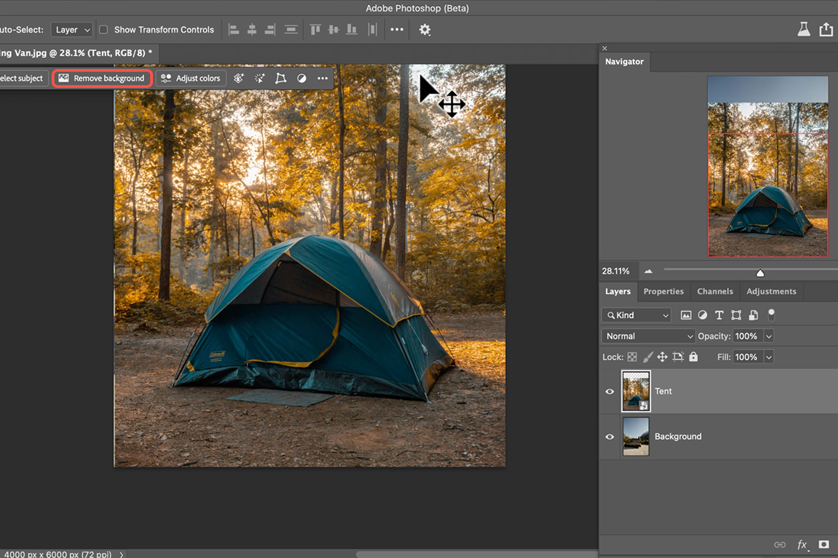 Photoshop Beta: New Harmonize Tool Explained - PHLEARN