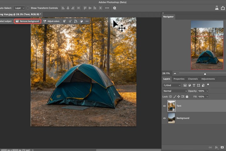 Photoshop Beta: New Harmonize Tool Explained - PHLEARN