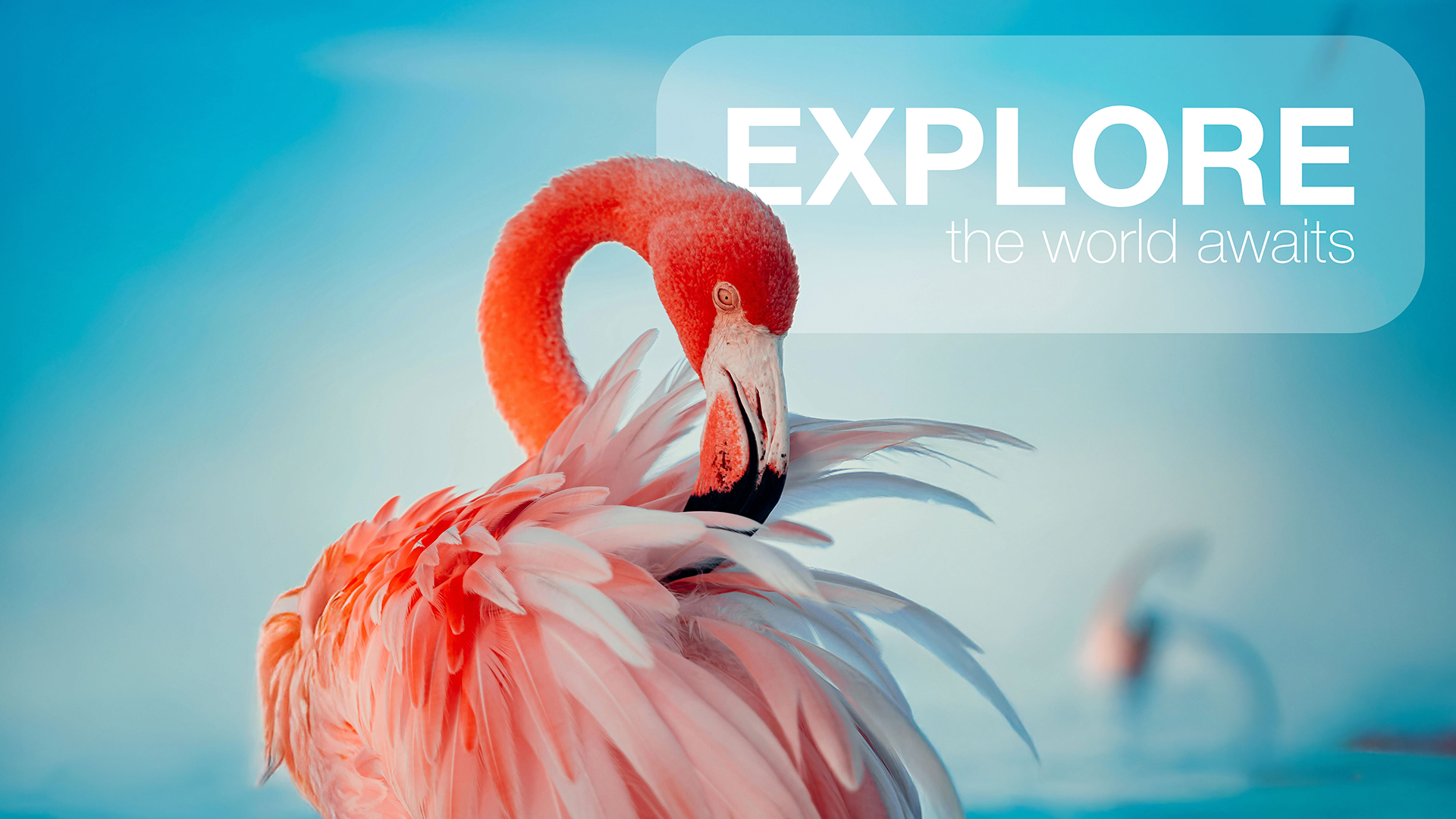 How to Use the Alignment Tools in Photoshop - PHLEARN