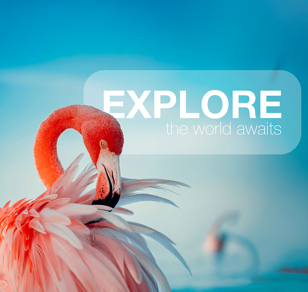 How to Use the Alignment Tools in Photoshop - PHLEARN