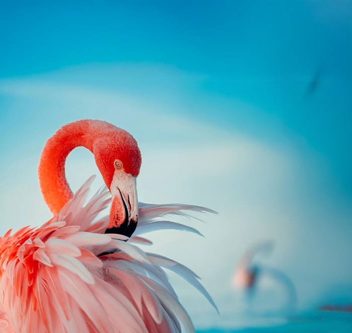 How to Use the Alignment Tools in Photoshop - PHLEARN