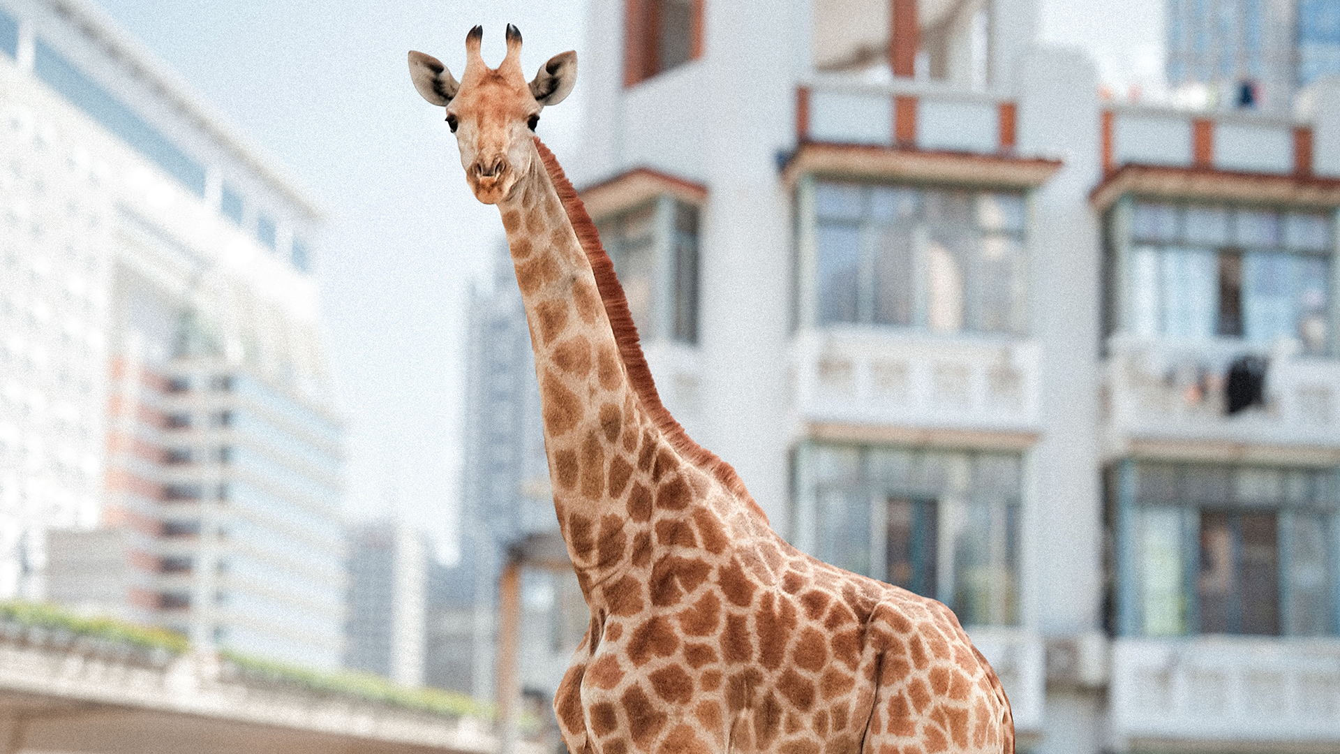 The Power of Compositing in Photoshop 2025 - PHLEARN