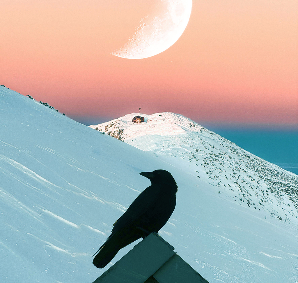 How to Use Blending Modes in Photoshop 2025 - PHLEARN