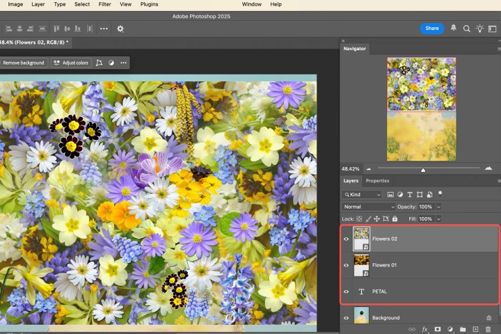 Photoshop Basics: How to Use Clipping Masks - PHLEARN