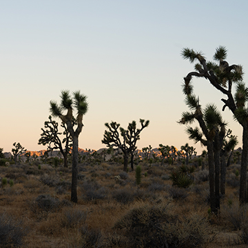 How To Use The Dust Removal Feature in Lightroom & Photoshop - PHLEARN